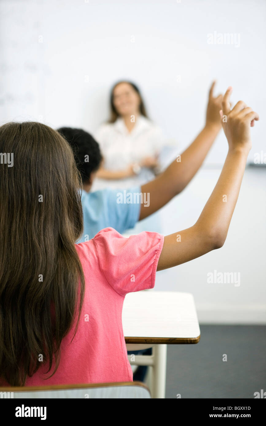 Elementary school students raising hand in class, rear view Stock Photo ...