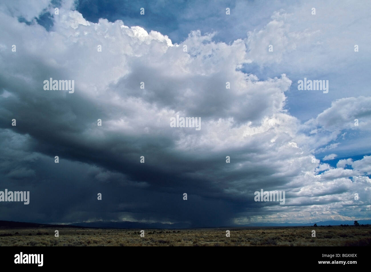 Massive storm front forming over the plains Stock Photo - Alamy