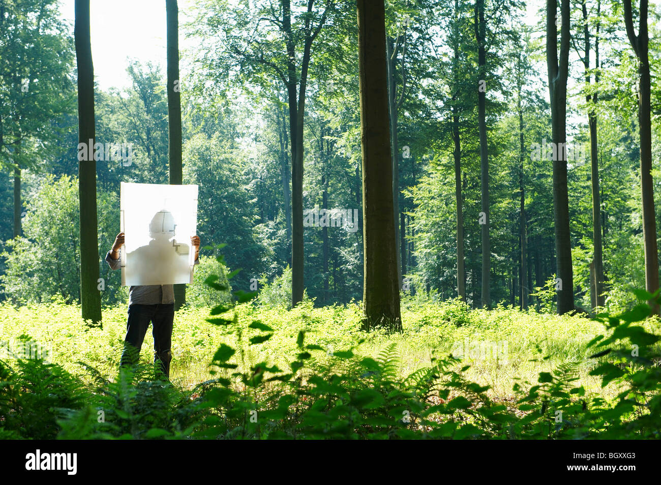Man in the woods, looking at blueprint Stock Photo - Alamy