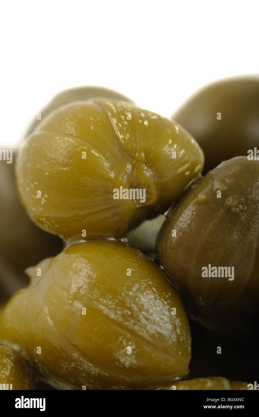Pickled caper isolated on white background Stock Photo - Alamy
