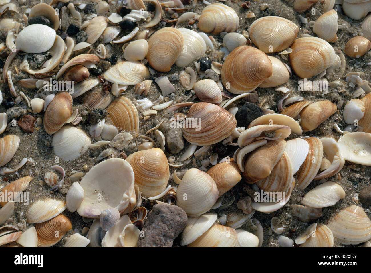Clusters of rocks hi-res stock photography and images - Alamy