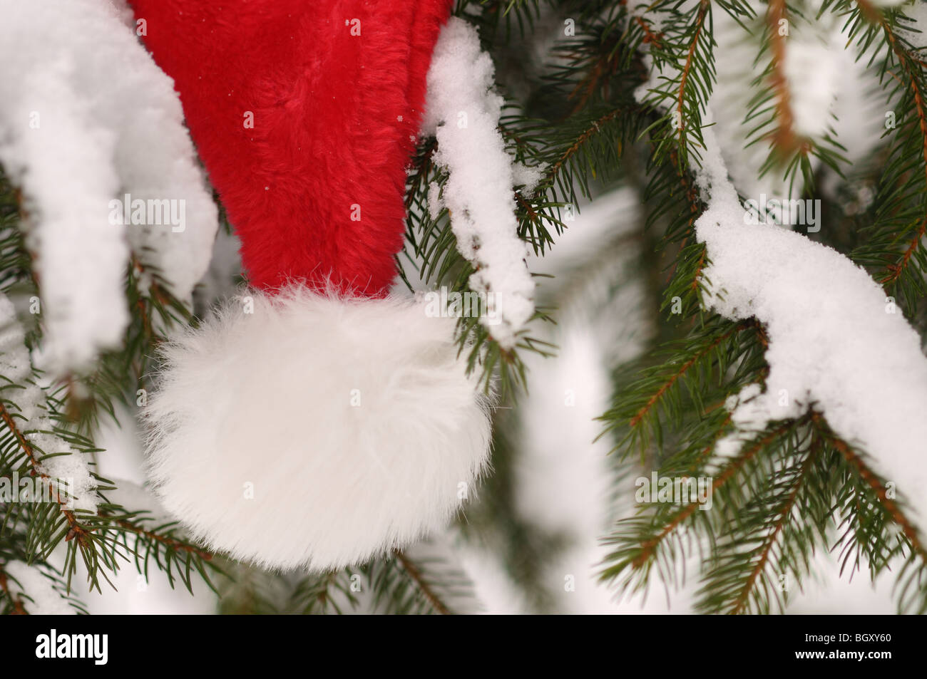 Outside of the tree hi-res stock photography and images - Alamy