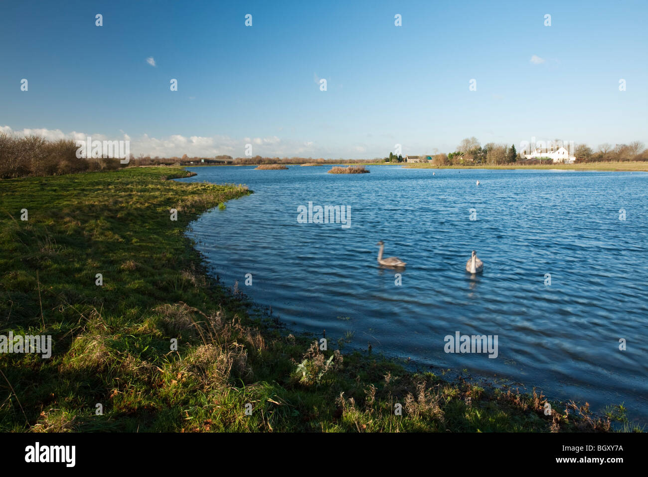 Gravel pit forming part of the Cotswolds Water Park between Cerney Wick ...