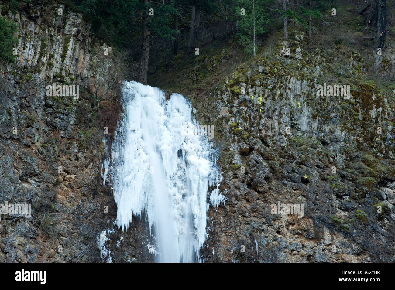 Multnomah Falls, Oregon, frozen, in winter Stock Photo - Alamy