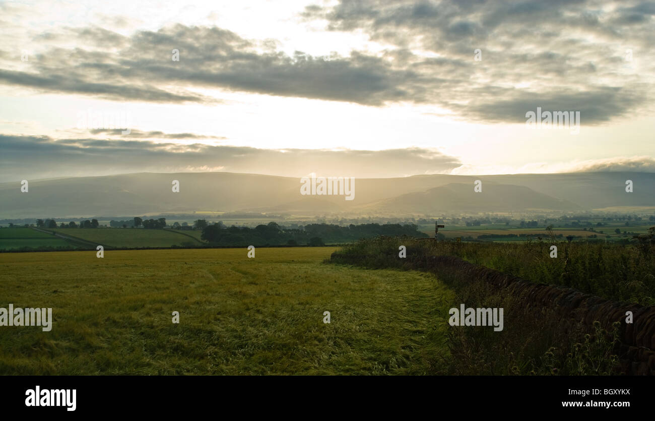 Sun rising over fields Stock Photo - Alamy