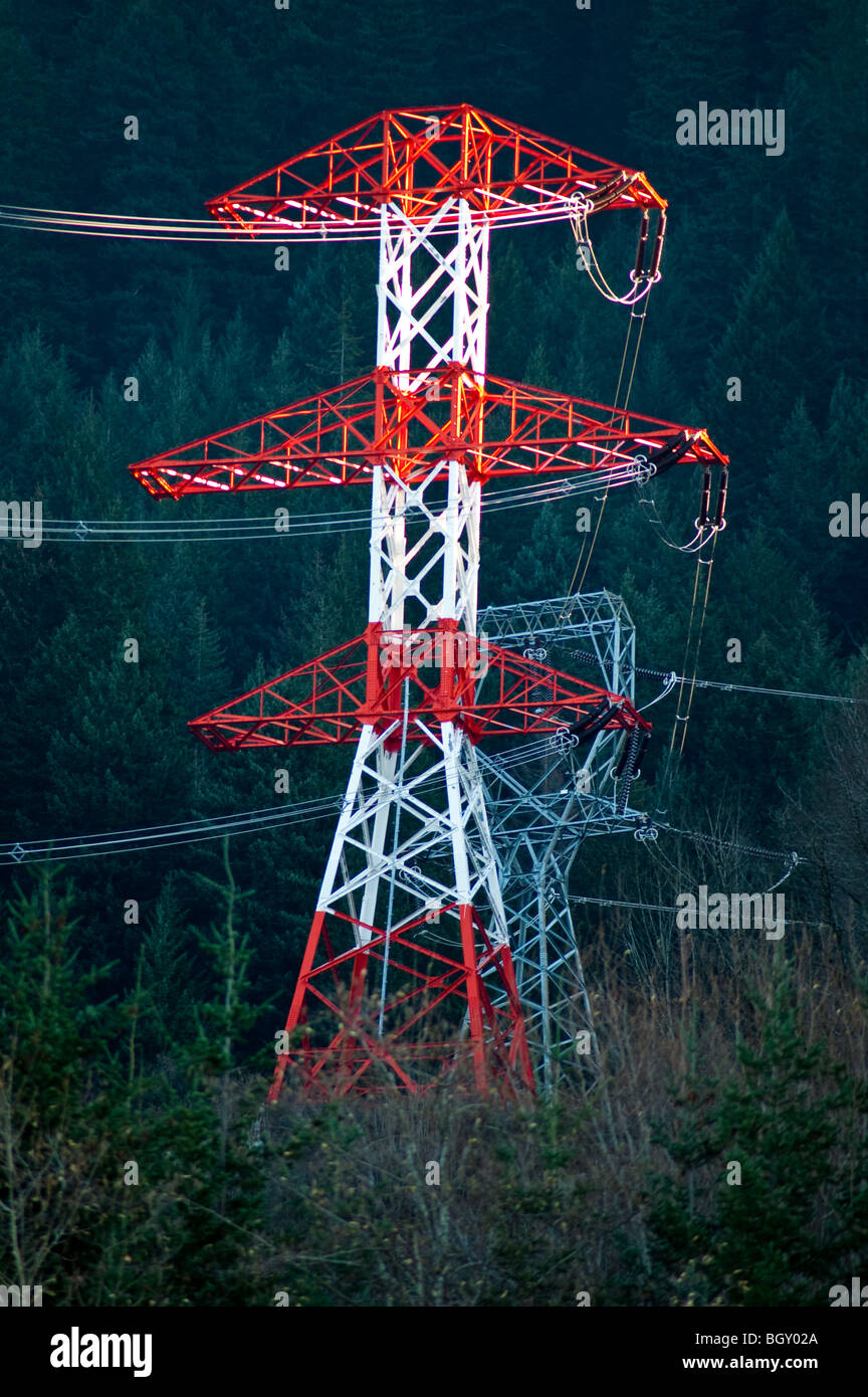 Electrical transmission towers in a green forest Stock Photo - Alamy