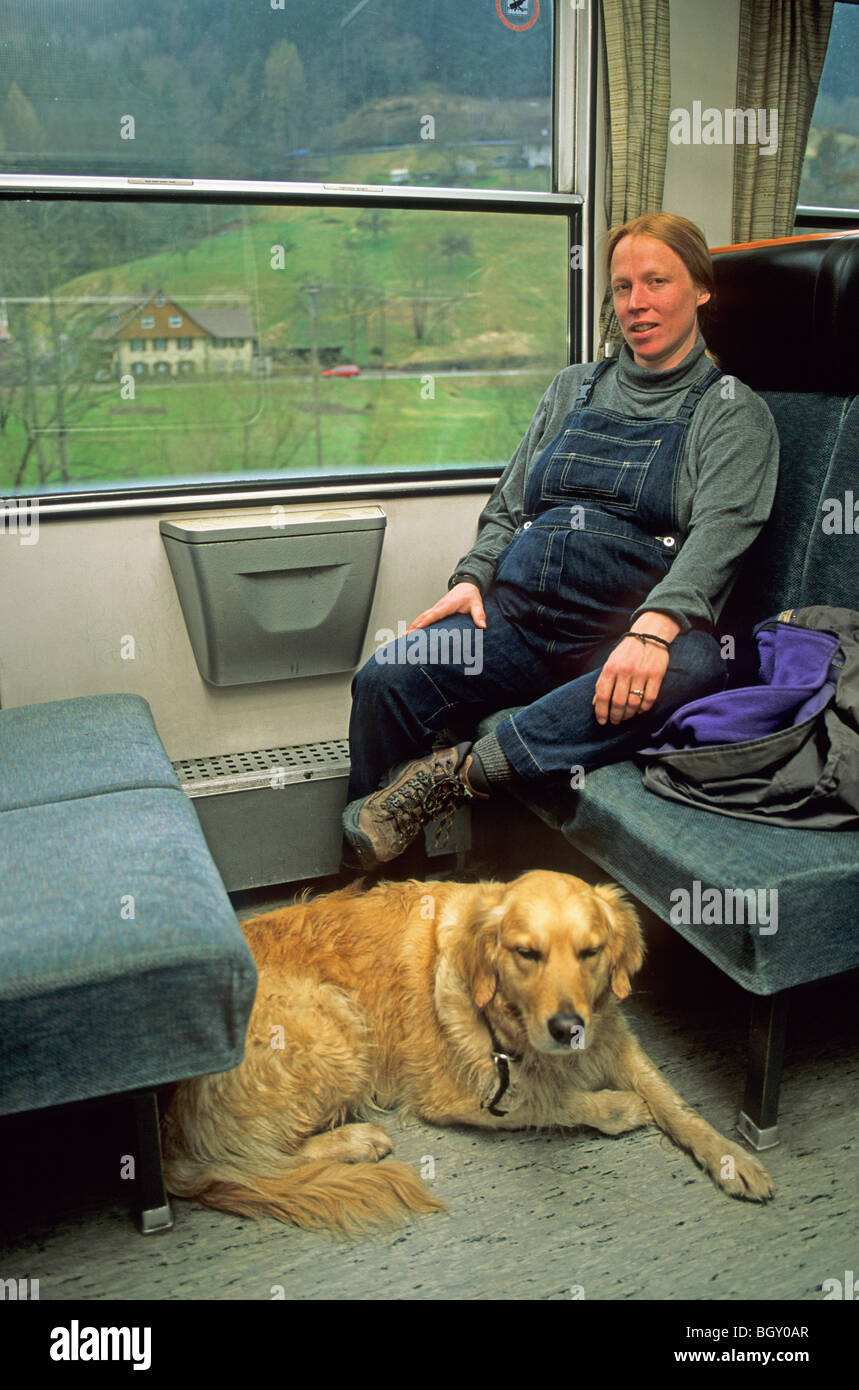 Dog train transport hi-res stock photography and images - Alamy