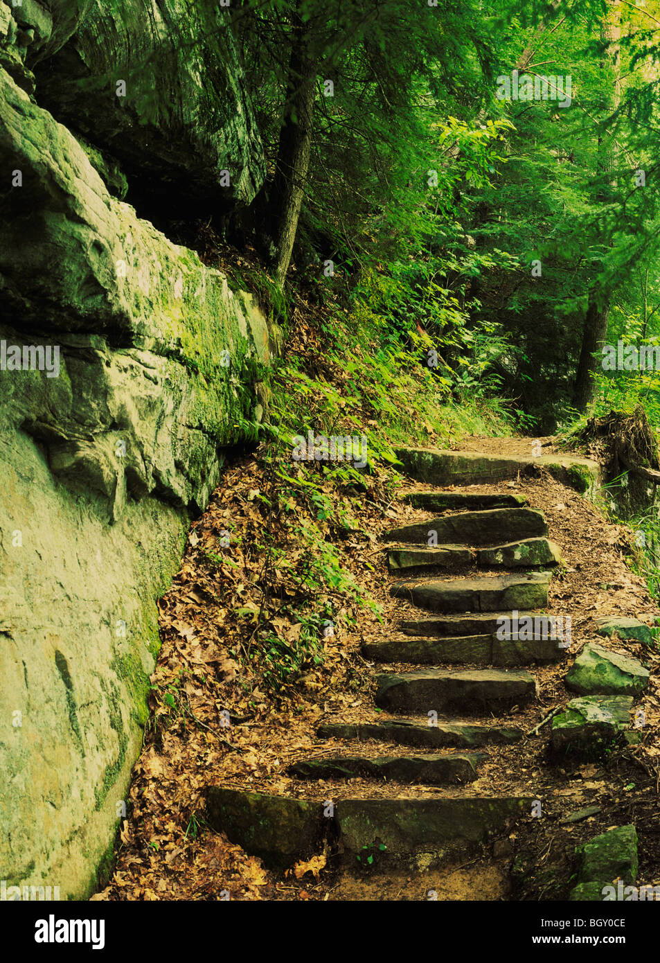 Rock staircase on trail leading to Eagle Falls, Cumberland Falls State ...