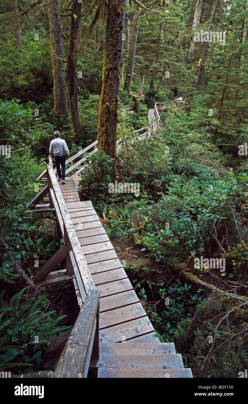 Person walks along scenic rainforest hi-res stock photography and ...
