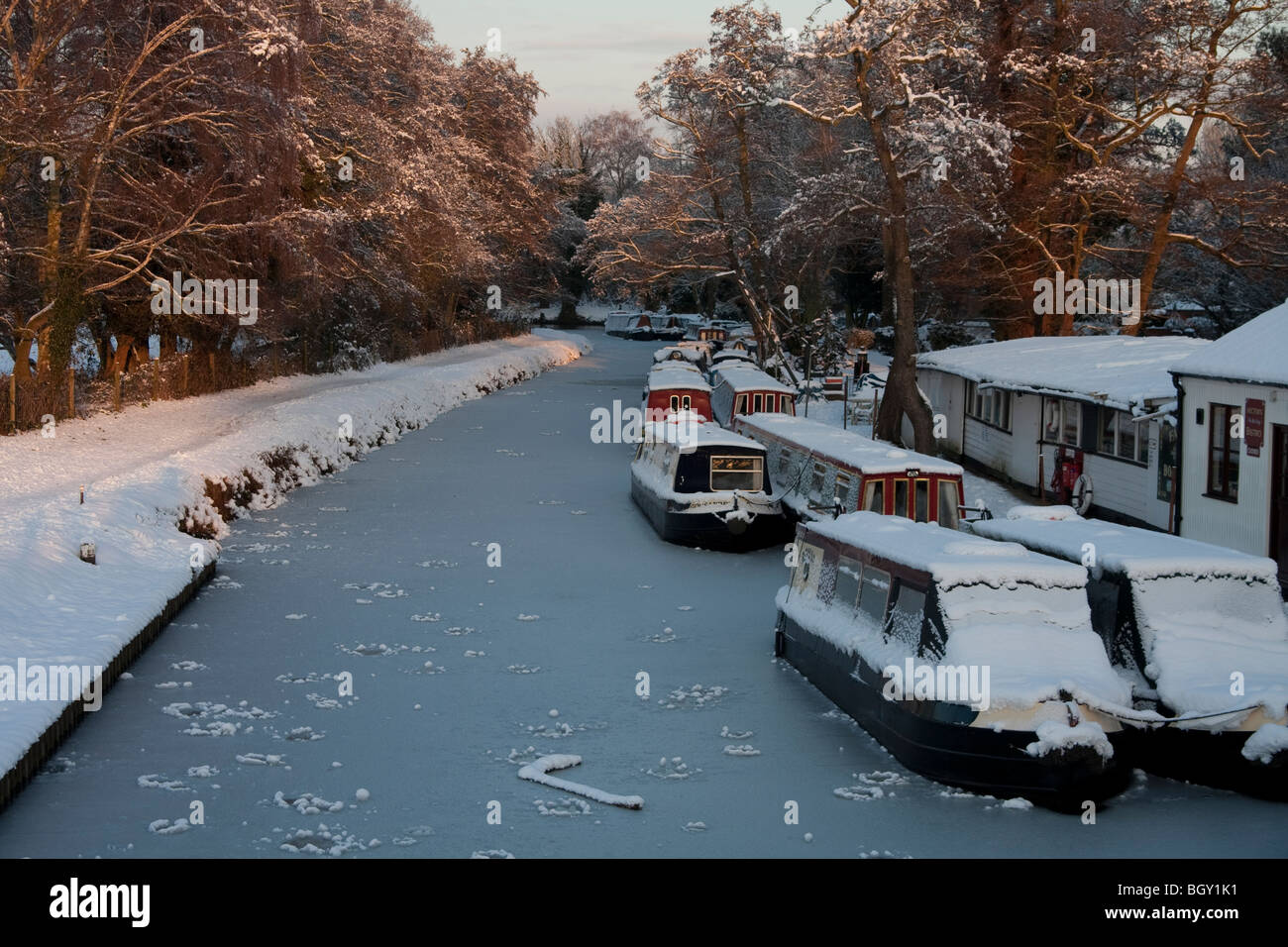 Boat trees hi-res stock photography and images - Alamy