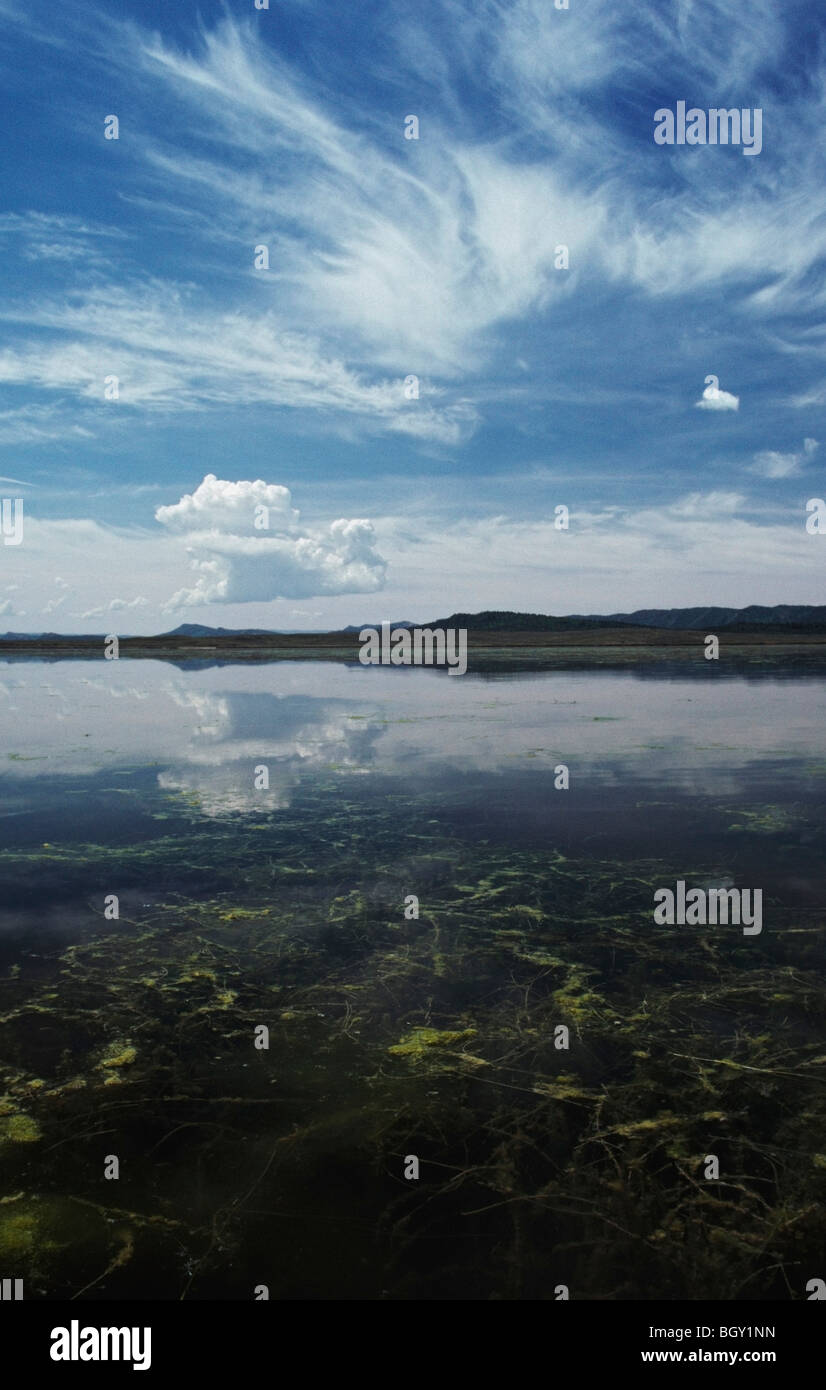 Shallow freshwater lake Stock Photo - Alamy