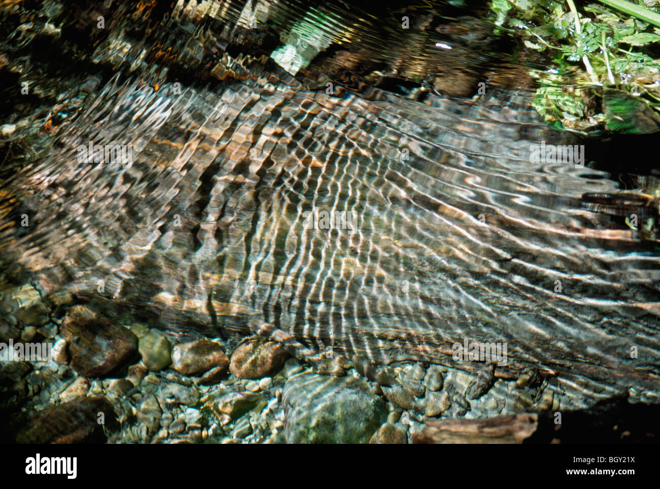 Ripples in small stream form sunlight pattern on submerged stone Stock ...