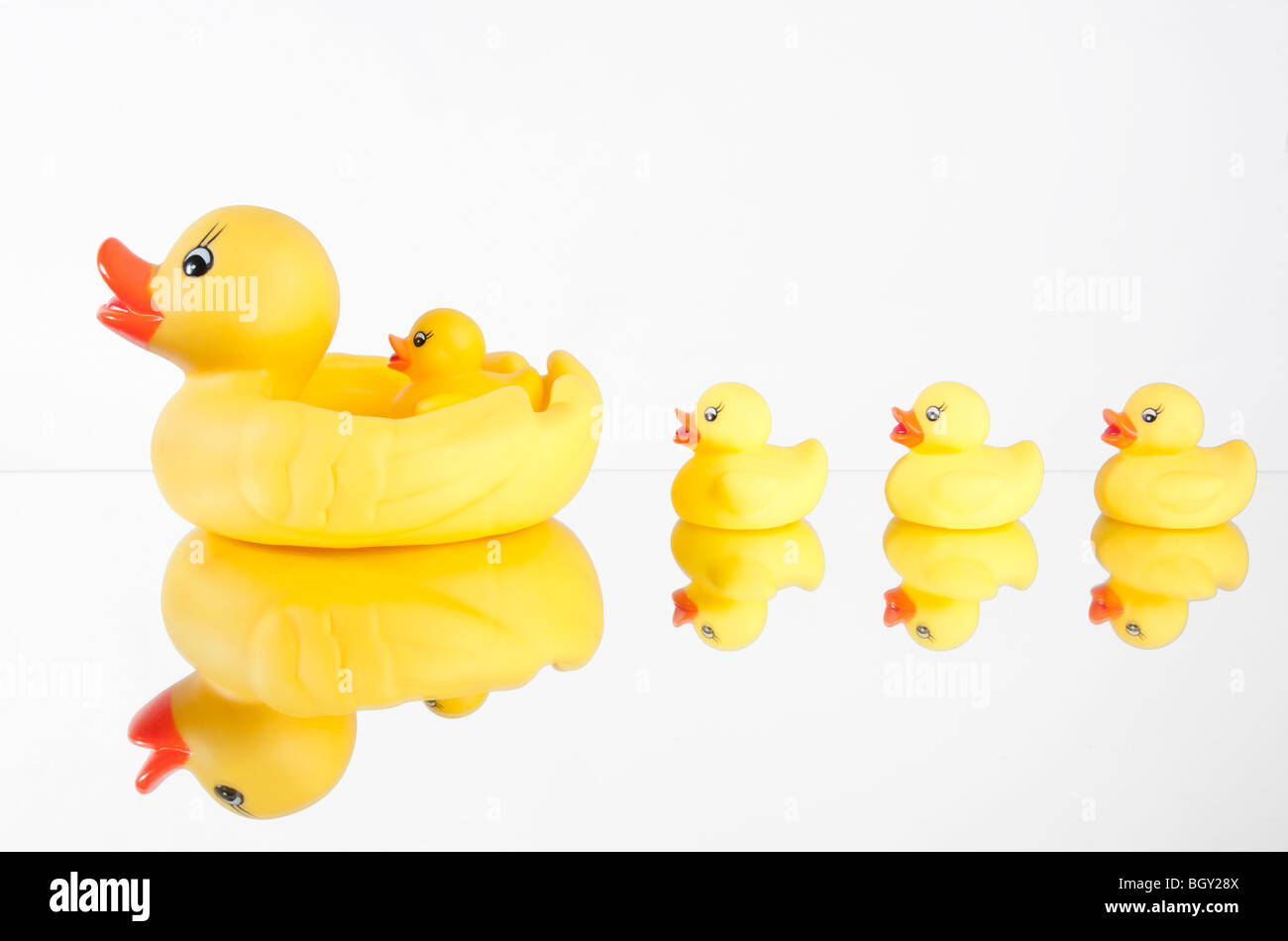Family of yellow rubber ducks reflected in a mirror Stock Photo - Alamy