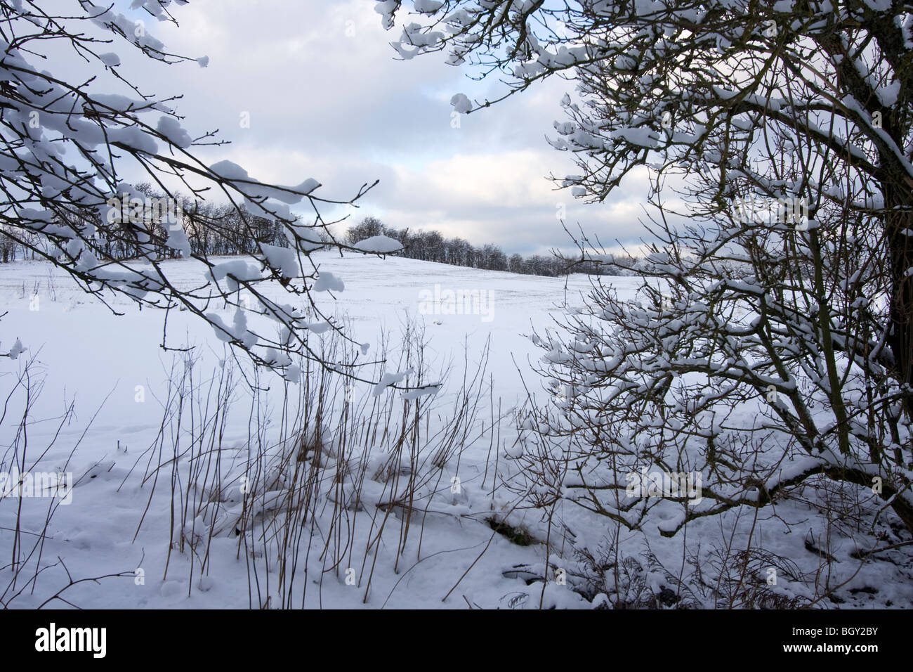 Winter landscape in Denmark Stock Photo - Alamy
