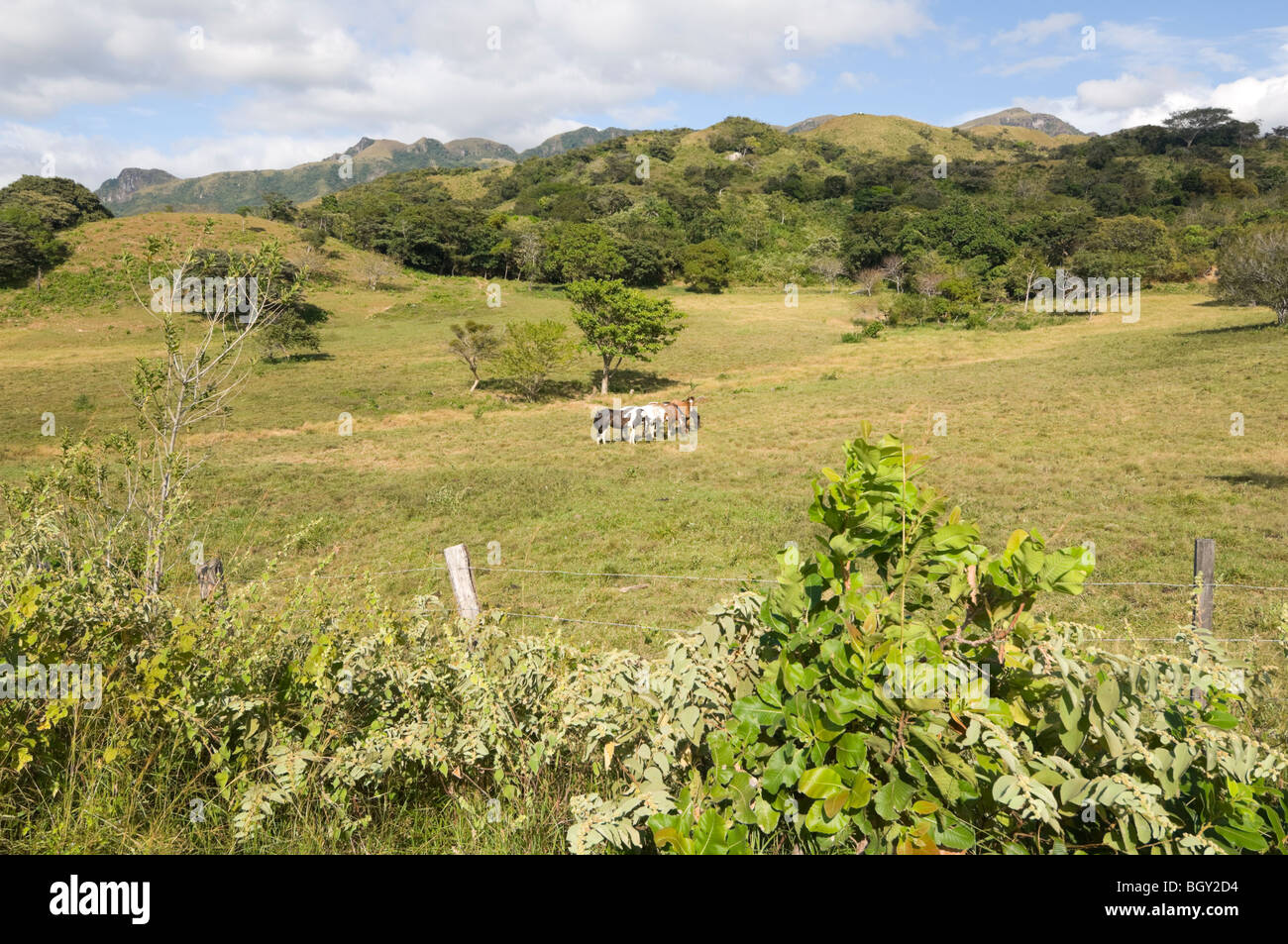 Panama Veraguas Province Stock Photo - Alamy