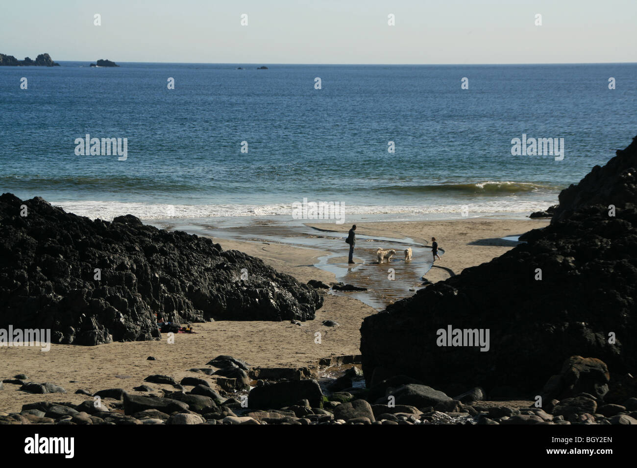 Cornwall dogs beach hi-res stock photography and images - Alamy