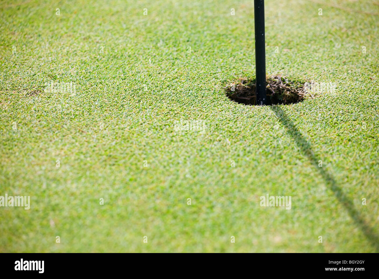 Golf Macro. Golf hole on green grass Stock Photo - Alamy