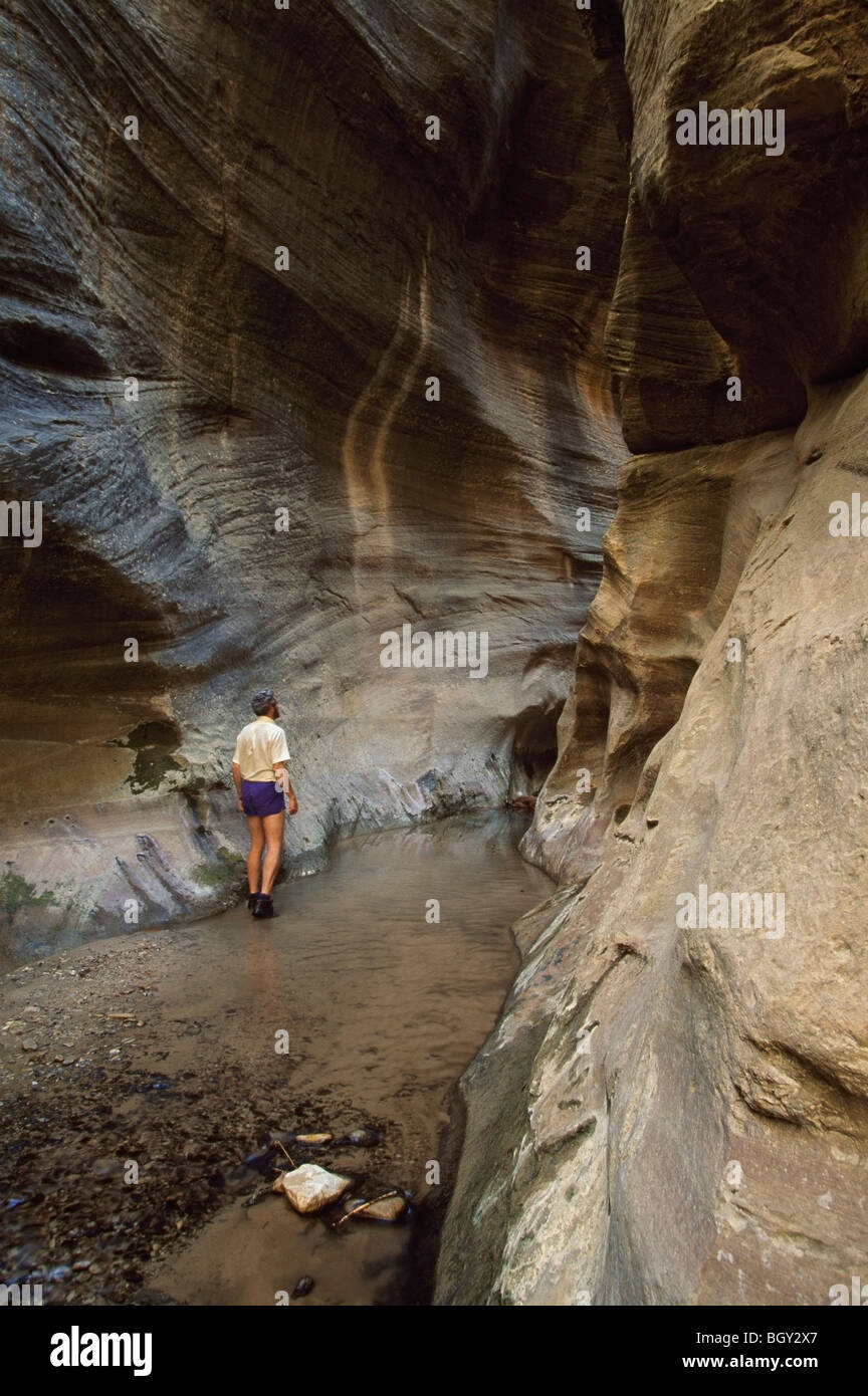 Adult male examining sandstone formation in narrow canyon, Orderville ...