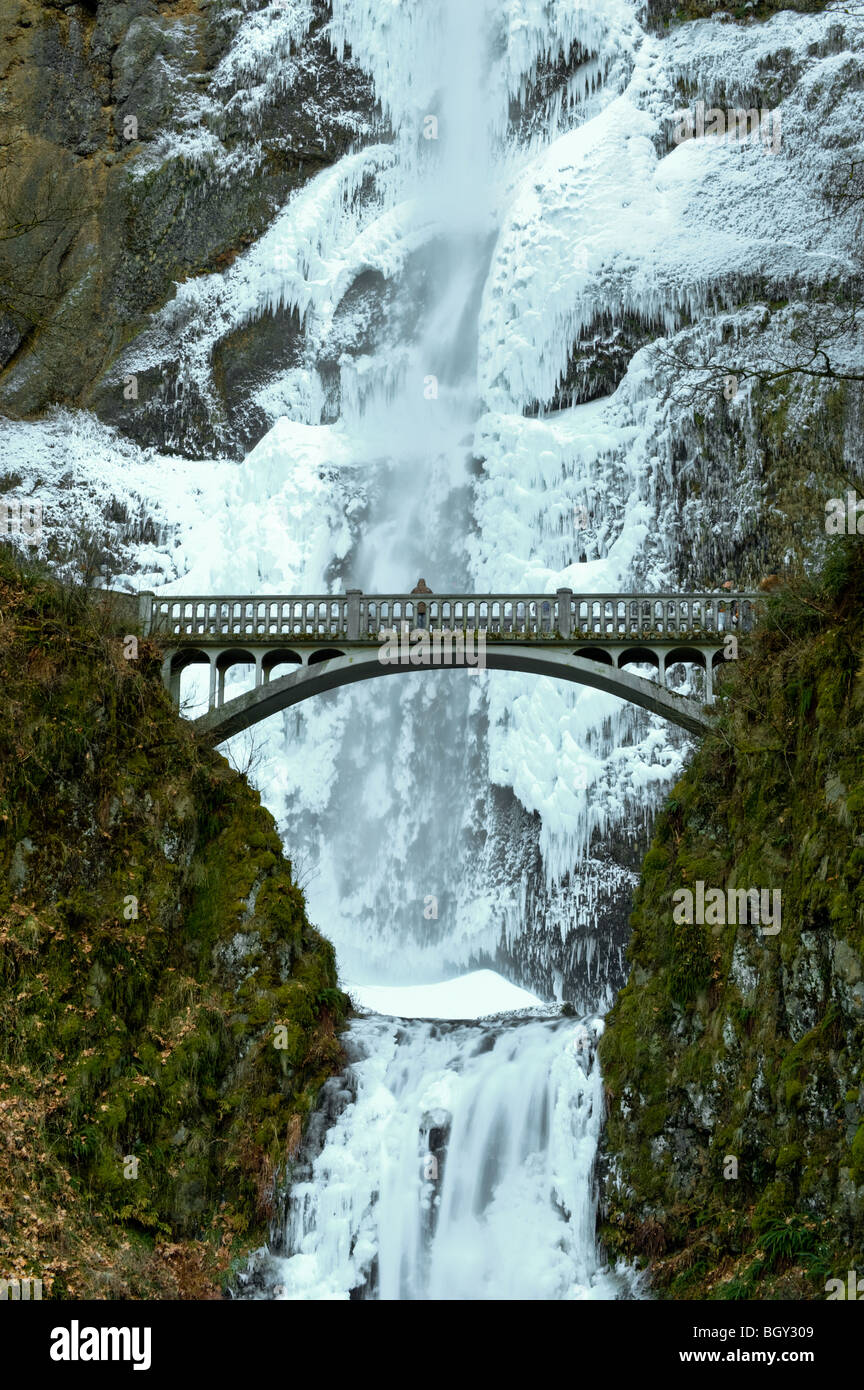 Multnomah Falls, Oregon, frozen, in winter Stock Photo - Alamy