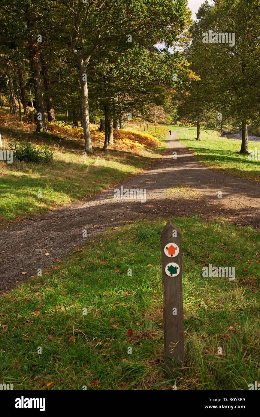 Walking trial through a park area Stock Photo - Alamy