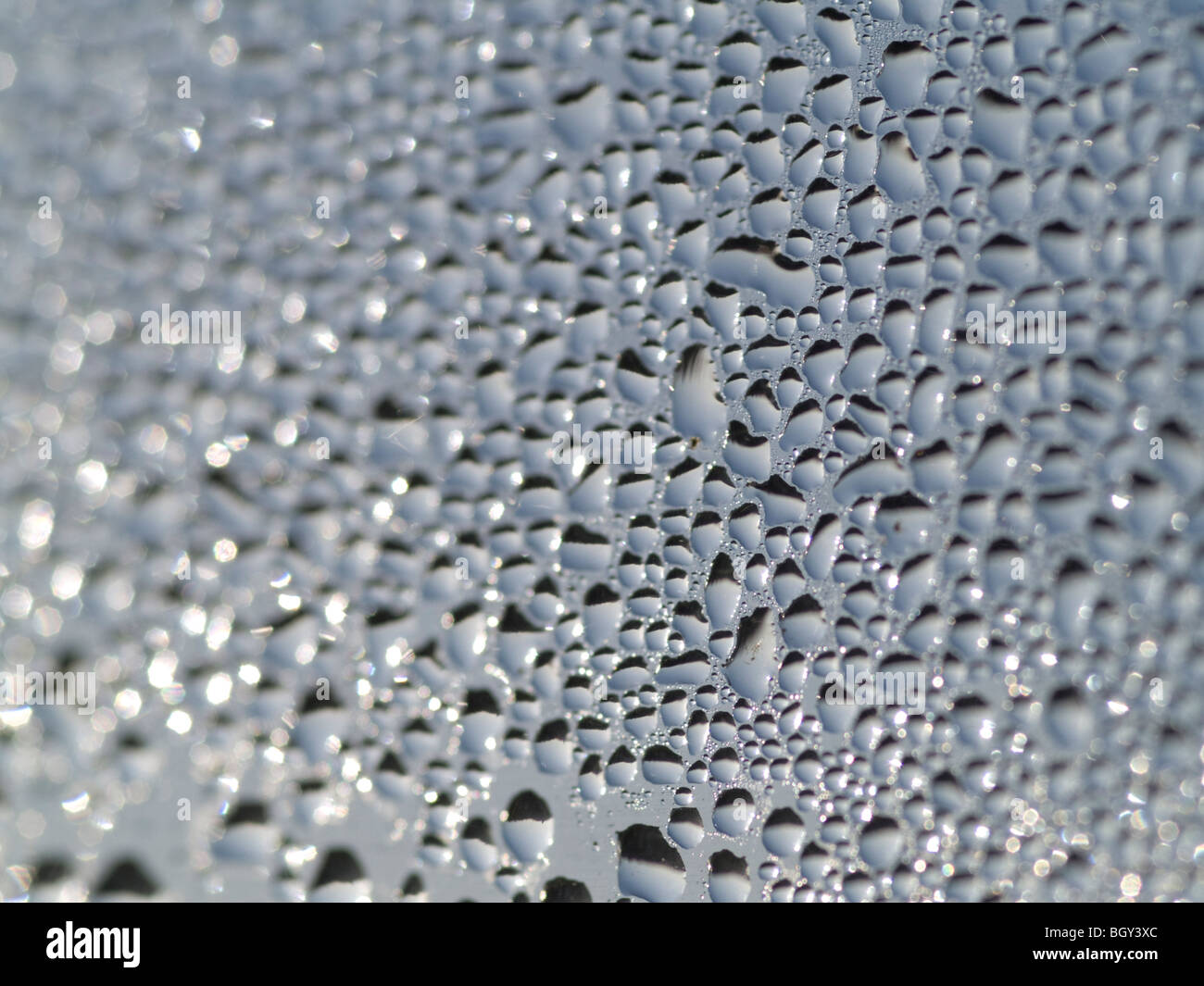 Water condensation beads hi-res stock photography and images - Alamy
