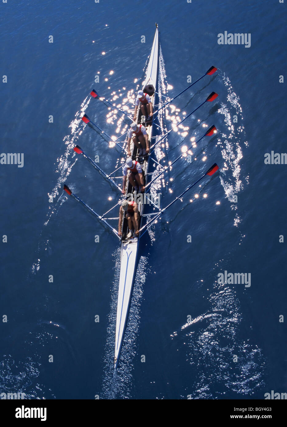 Four sportsmen rowing on a sunny day Stock Photo - Alamy