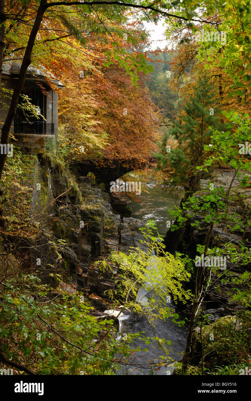 Craigvinean forest hi-res stock photography and images - Alamy