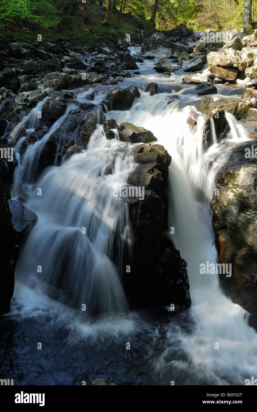 Craigvinean forest hi-res stock photography and images - Alamy