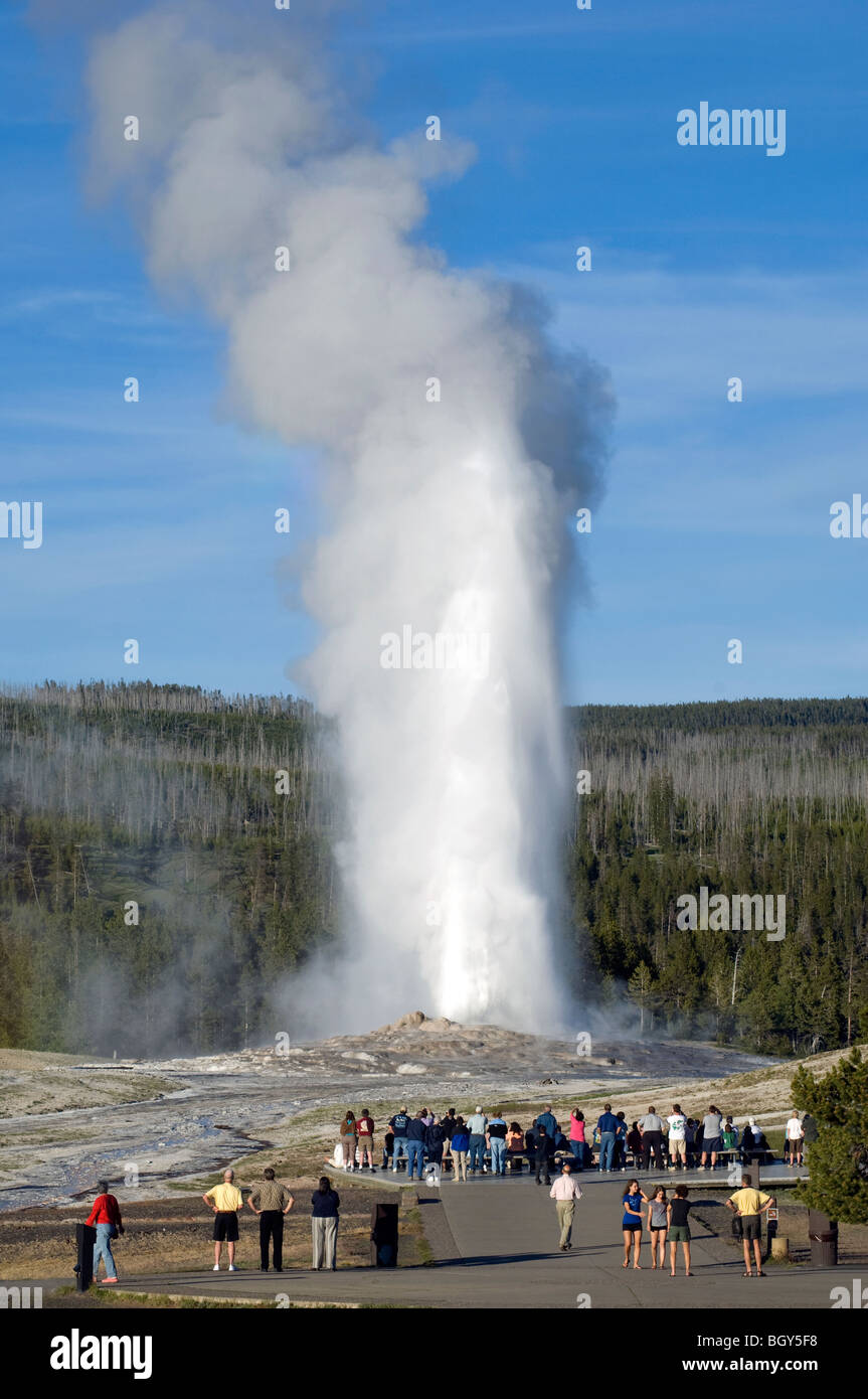 Old Faithful geyser at Yellowstone National Park Stock Photo - Alamy