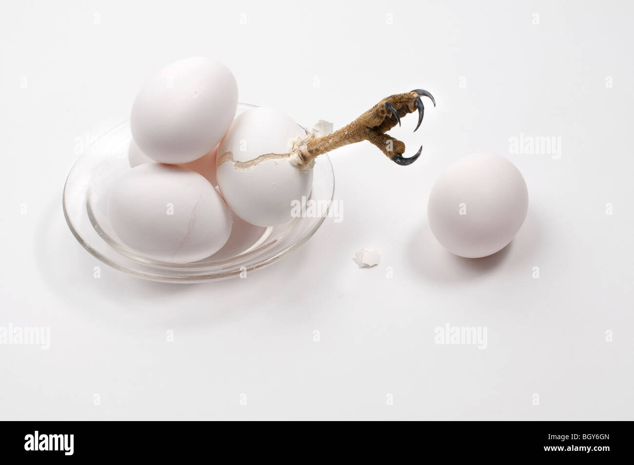 Birth of the beast Stock Photo - Alamy