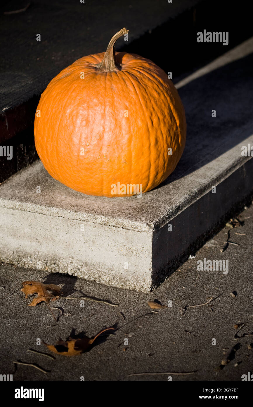 A nice plump orange pumpkin sitting on a cement patio step in the ...