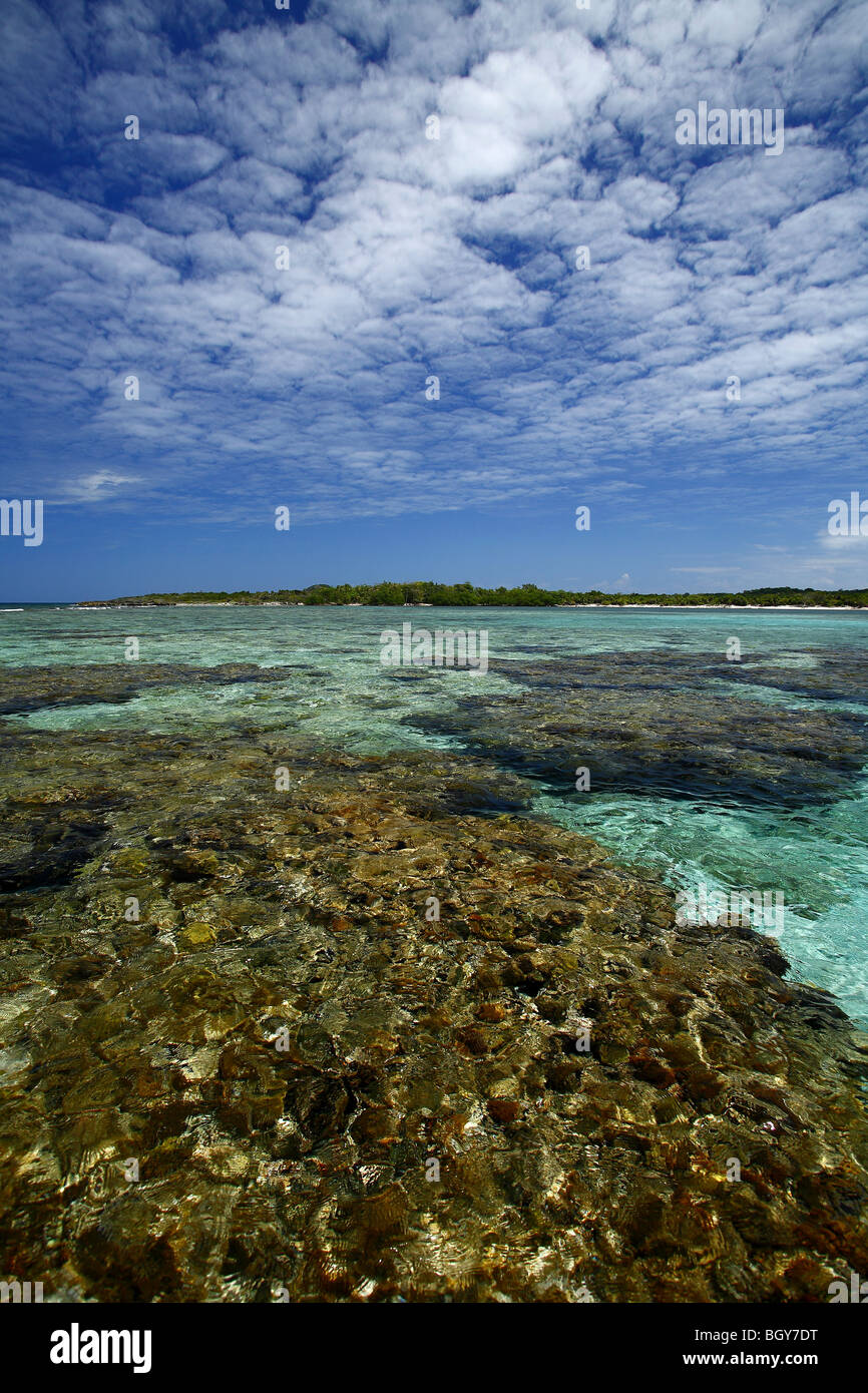 Utila honduras bay islands hi-res stock photography and images - Alamy