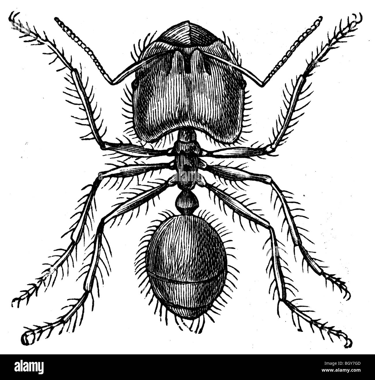 Vintage soldier image Cut Out Stock Images & Pictures - Alamy