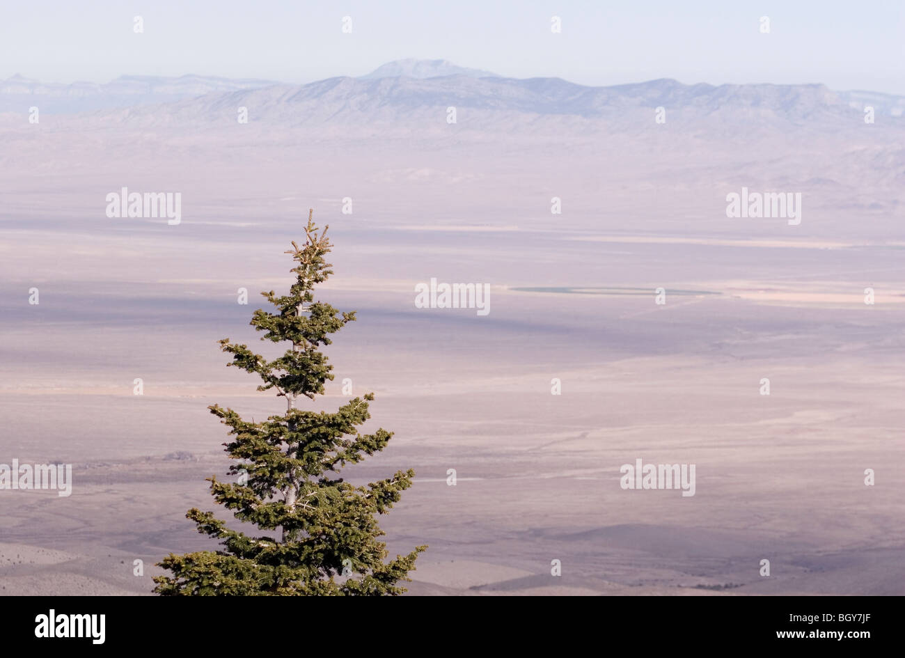 Great Basin Desert Sagebrush Stock Photos & Great Basin Desert ...