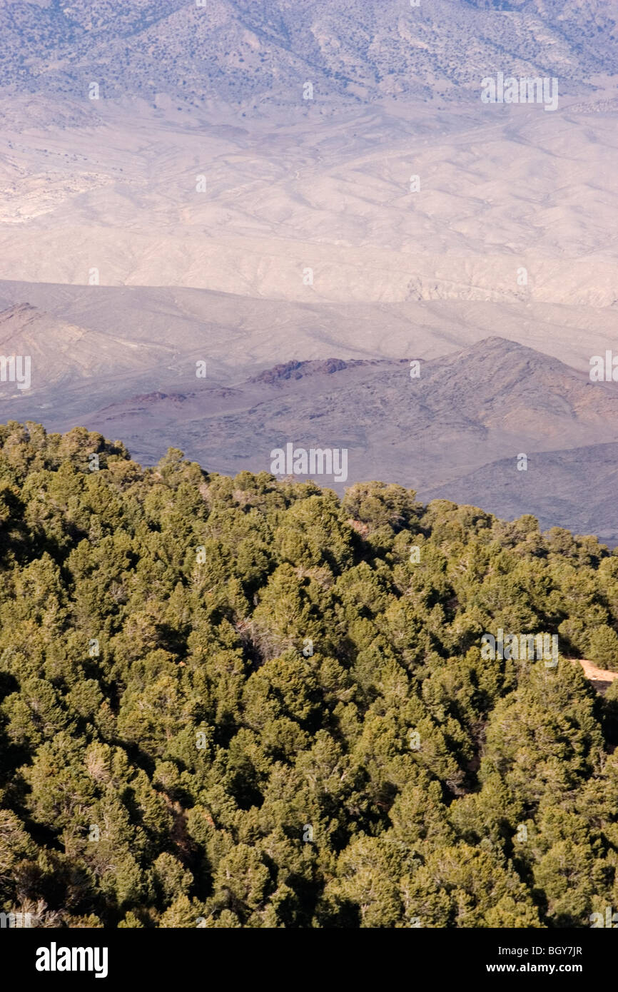 Great basin desert sagebrush hi-res stock photography and images - Alamy
