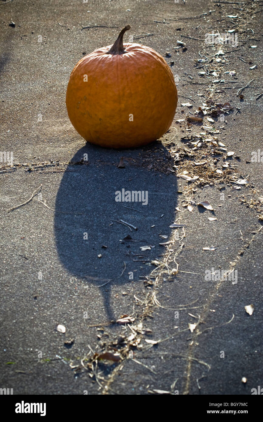 A nice plump orange pumpkin sitting on a concrete patio an autumn ...