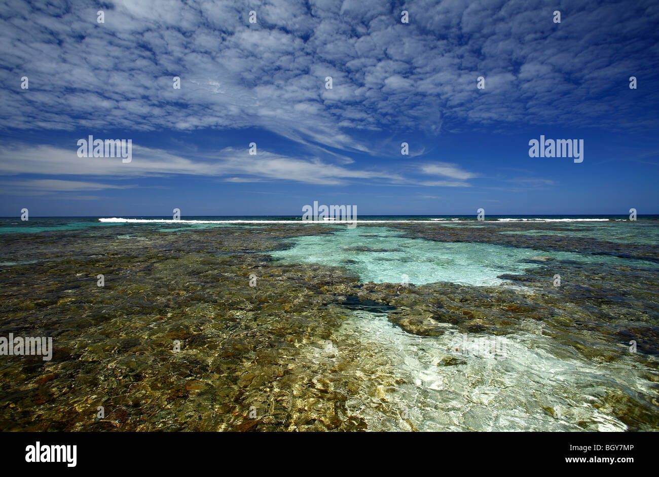 coral reef in Rock Harbor on Utila, Bay Islands, Honduras Stock Photo ...