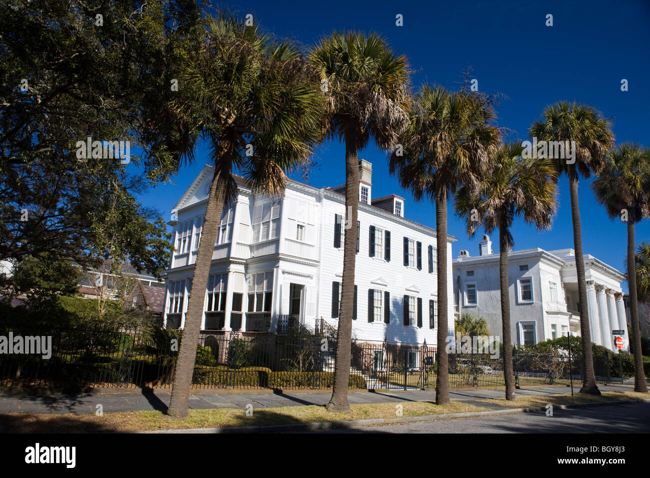 Palmetto trees line South Battery Street with large mansions ...