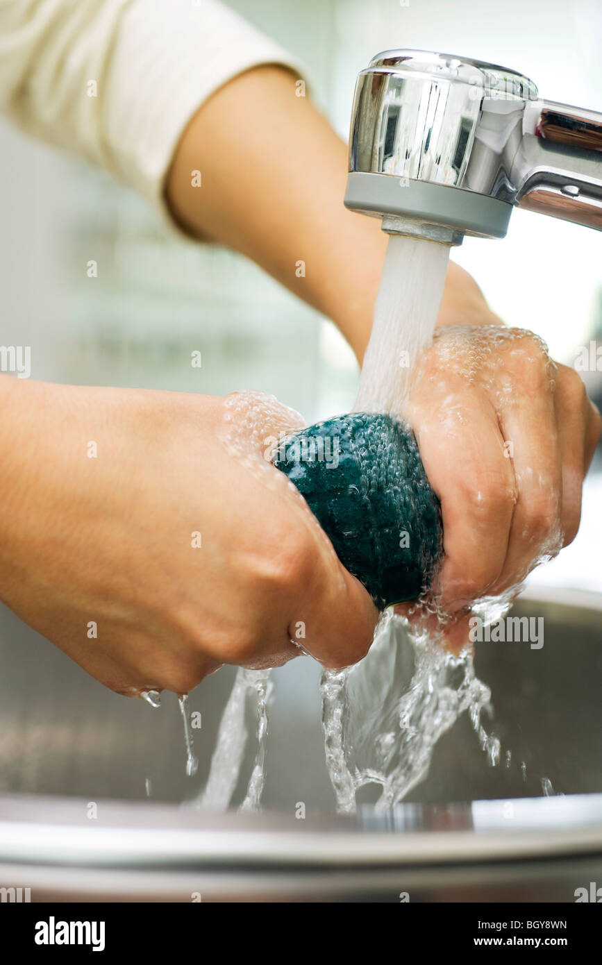 Person rinsing sponge under kitchen faucet Stock Photo - Alamy