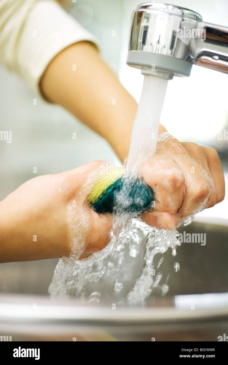 Person rinsing sponge under kitchen faucet Stock Photo - Alamy