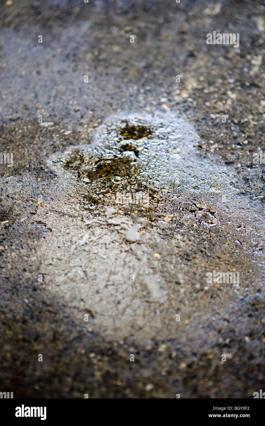 Motor oil puddle spill on pavement hi-res stock photography and images ...