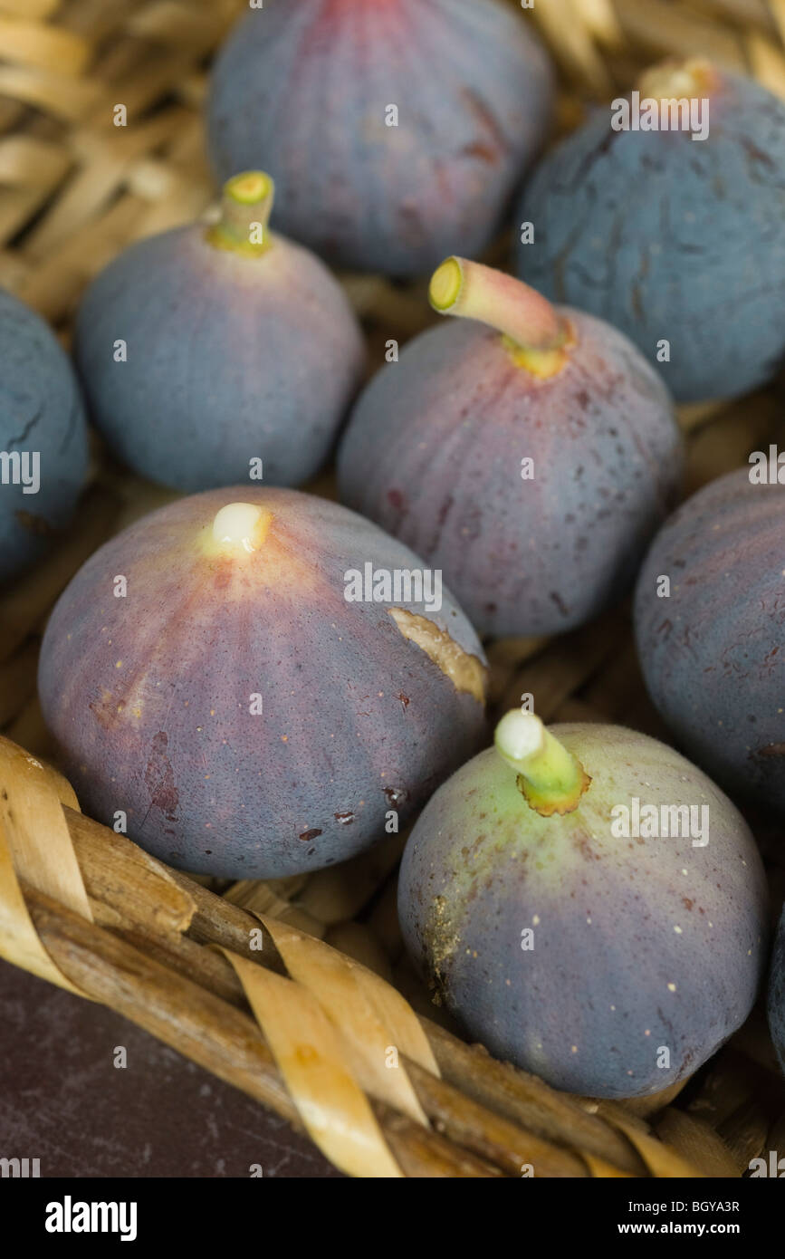 Many figs shot close hi-res stock photography and images - Alamy