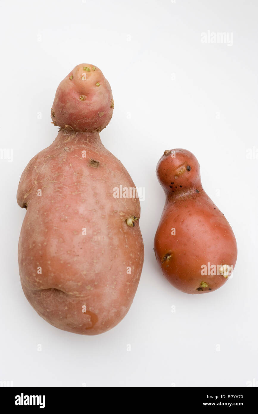 Weird potato hi-res stock photography and images - Alamy