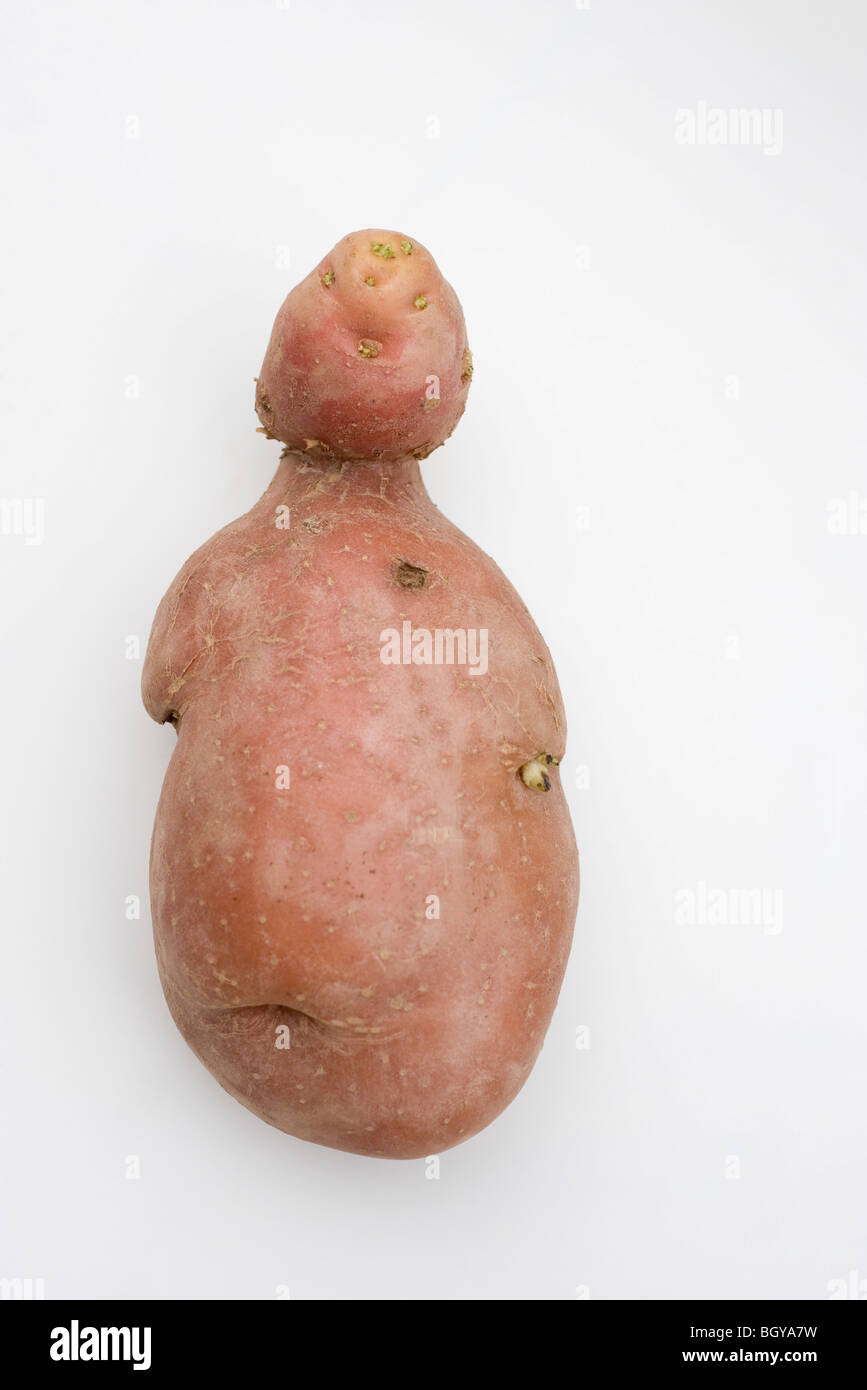 Weird potato hi-res stock photography and images - Alamy