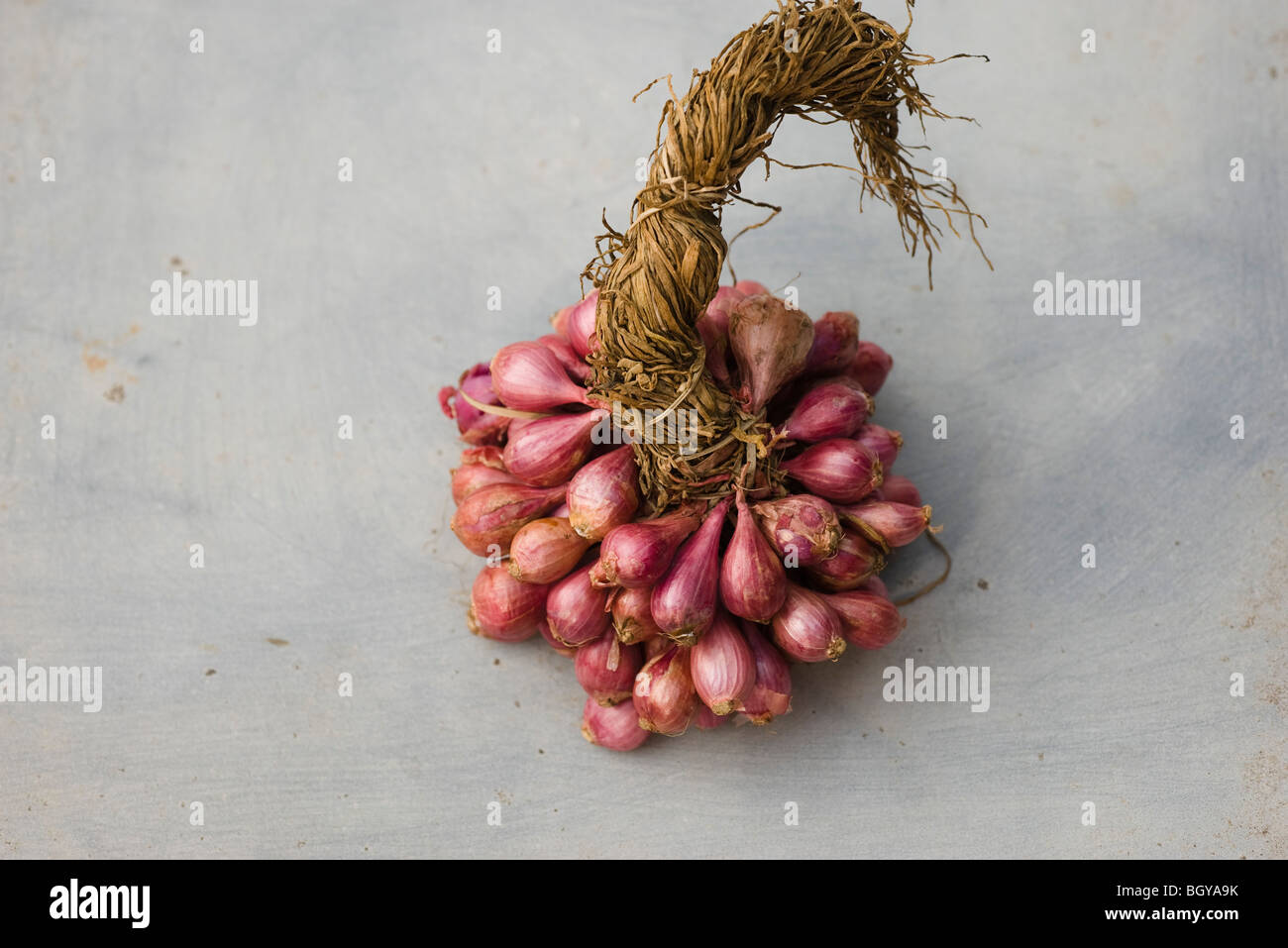 Bunch of shallots Stock Photo - Alamy