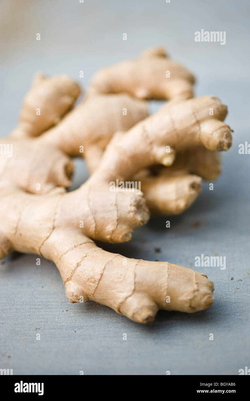 Ginger hi-res stock photography and images - Alamy
