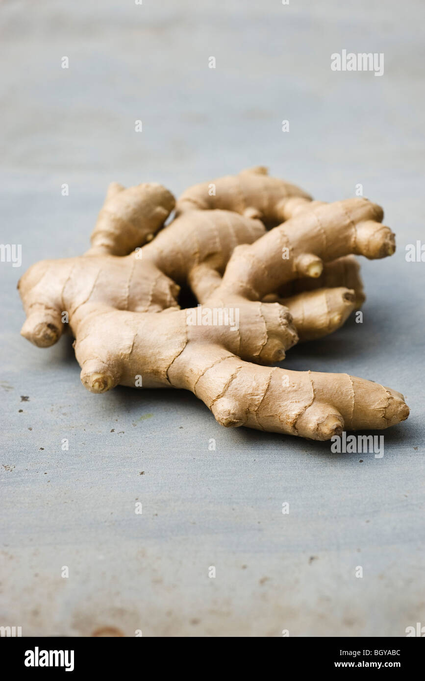 Whole plant views hi-res stock photography and images - Alamy