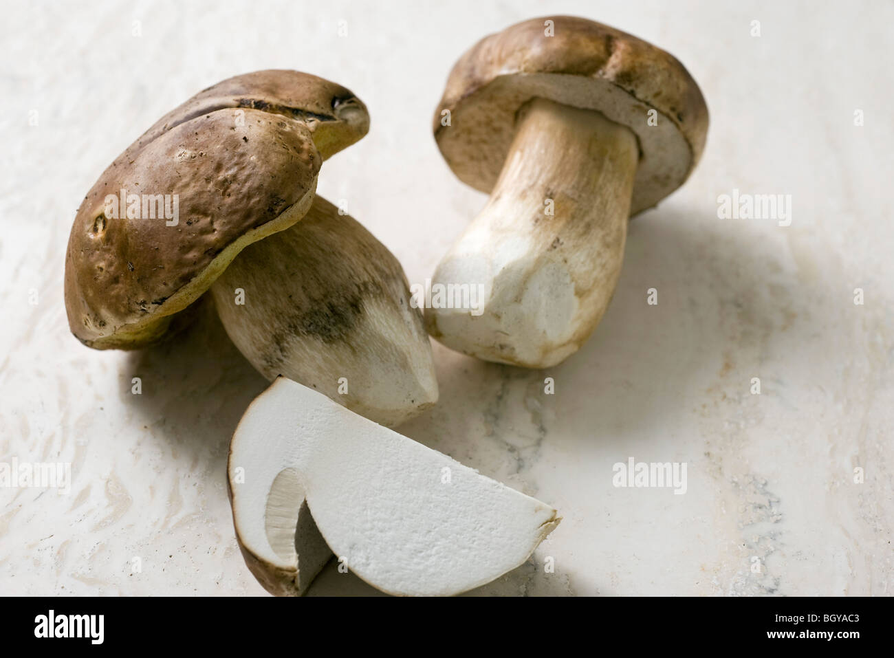 Cep or Porcini mushrooms (Boletus edulis Stock Photo - Alamy