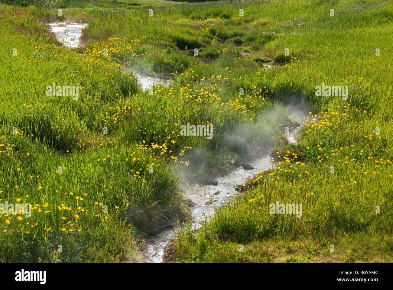 Geothermal area hveravellir hi-res stock photography and images - Alamy