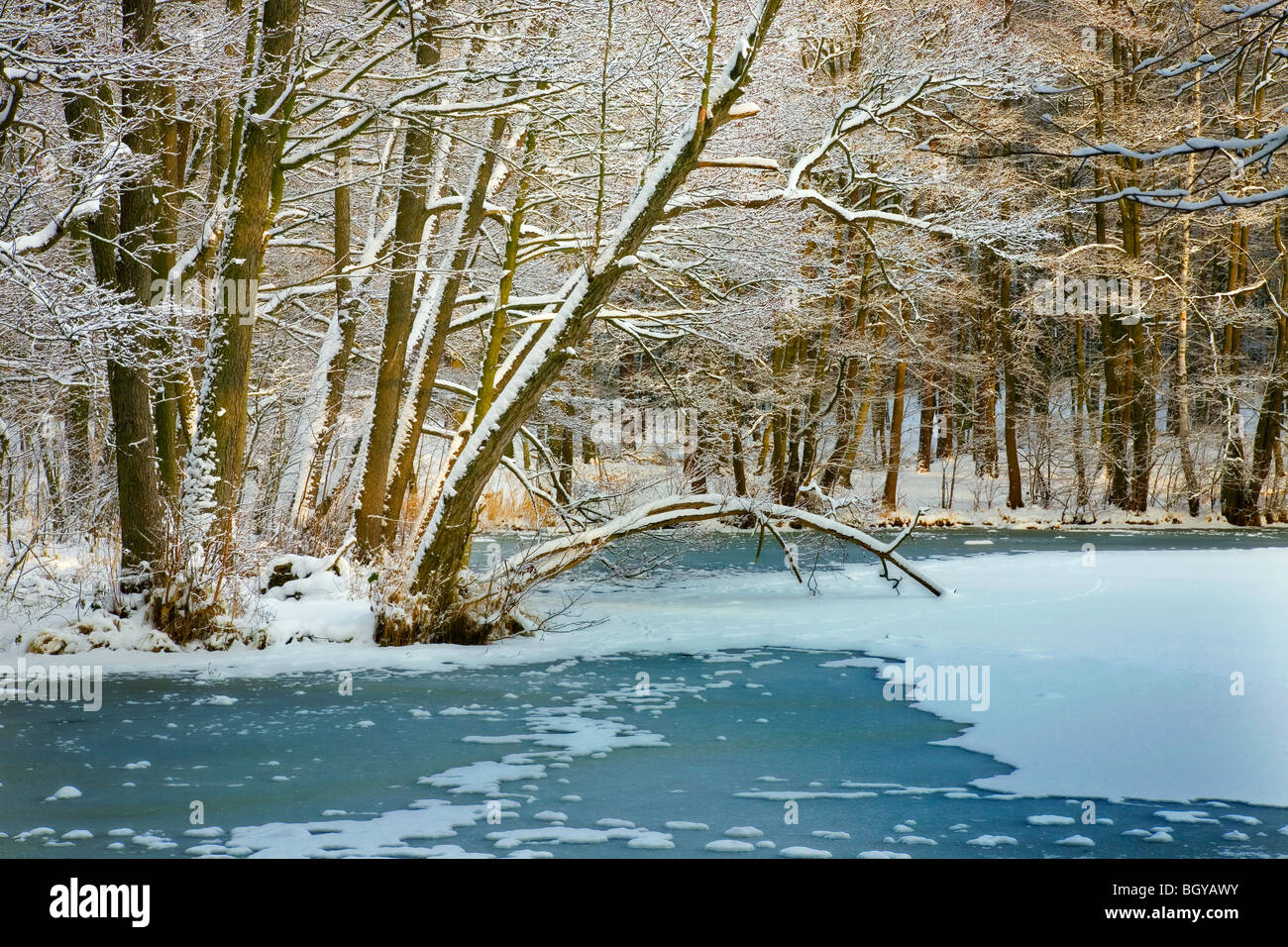 Dammsmuehle Lake, Schoenwalde, Barnim, Brandenburg, Germany Stock Photo ...